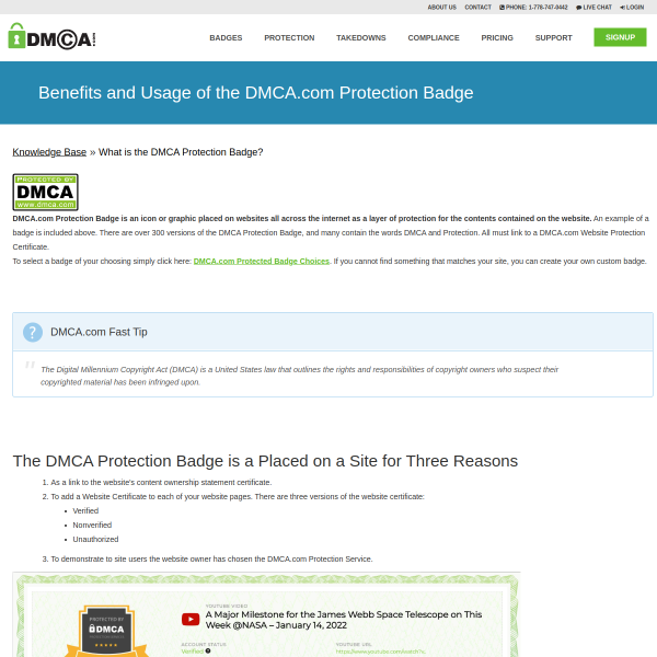 What is the DMCA Protection Badge? What is the DMCA Protection Badge?