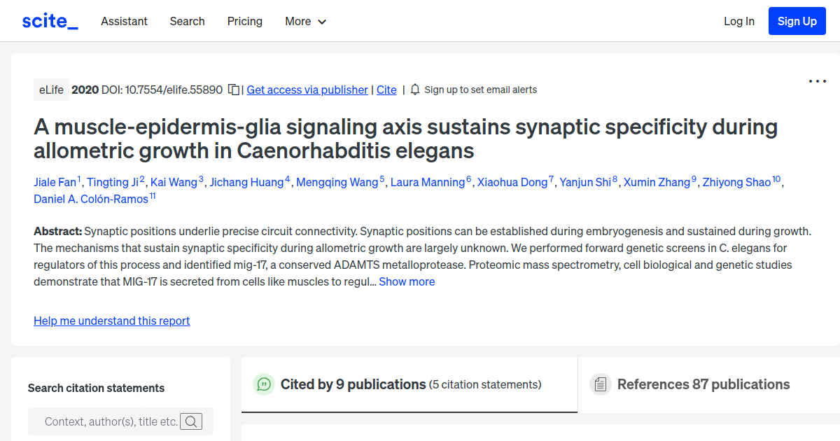 A muscle-epidermis-glia signaling axis sustains synaptic specificity ...