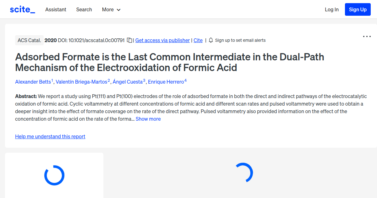 Adsorbed Formate is the Last Common Intermediate in the Dual-Path ...