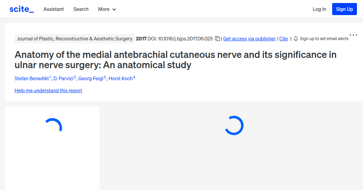 Anatomy of the medial antebrachial cutaneous nerve and its significance ...