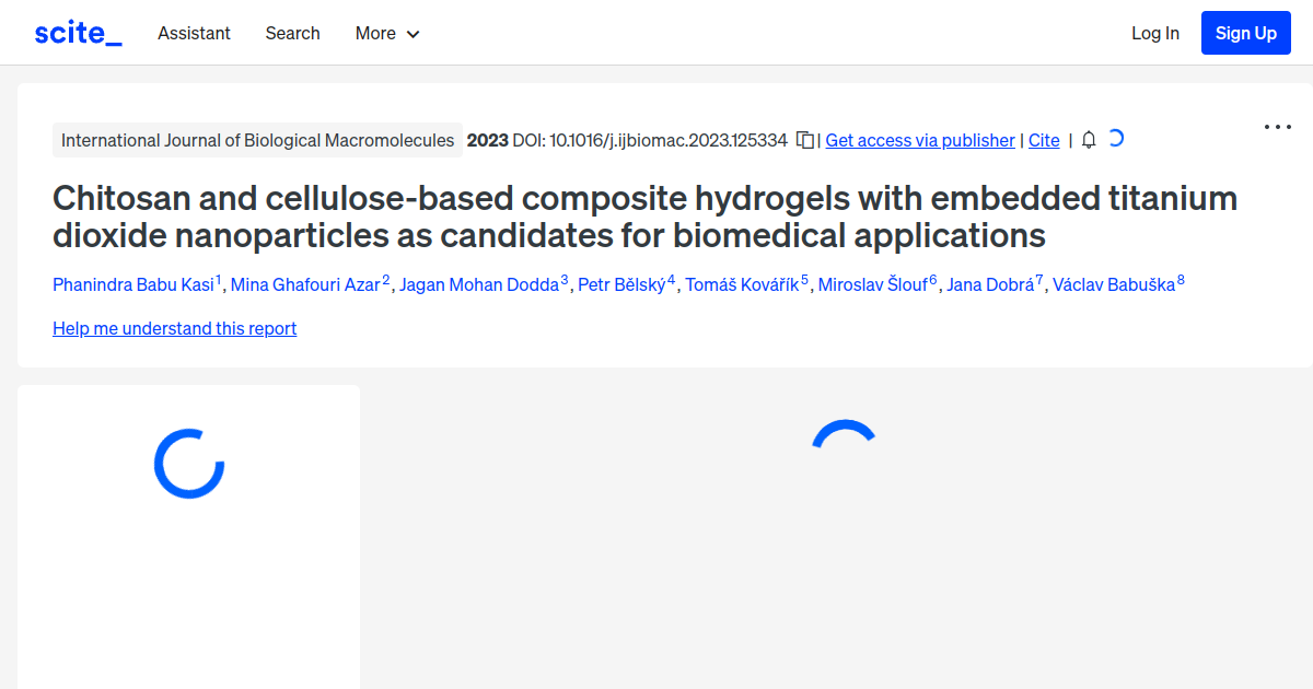 Chitosan and cellulose-based composite hydrogels with embedded titanium ...