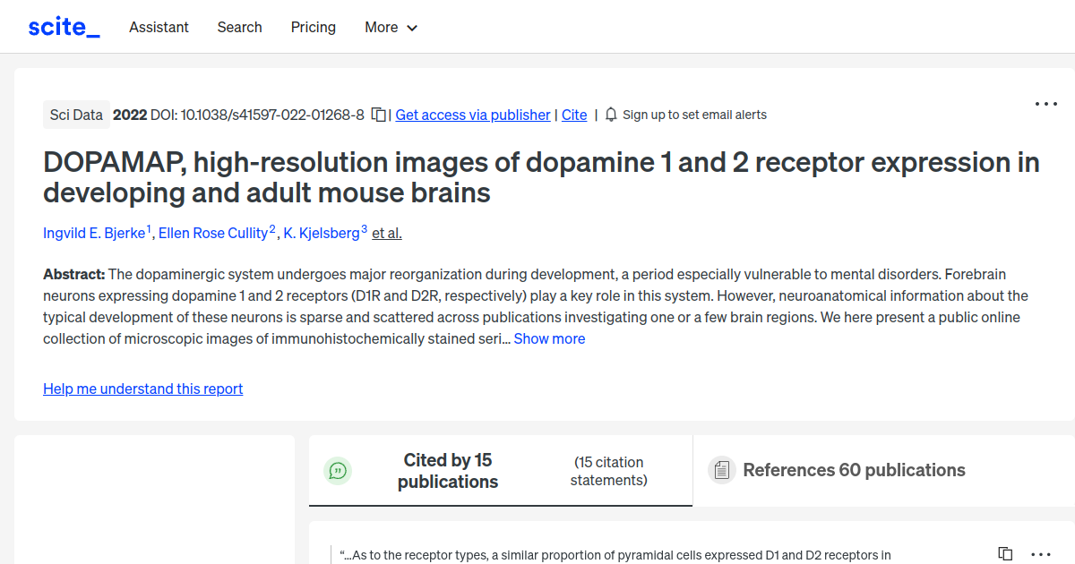 DOPAMAP, high-resolution images of dopamine 1 and 2 receptor expression ...
