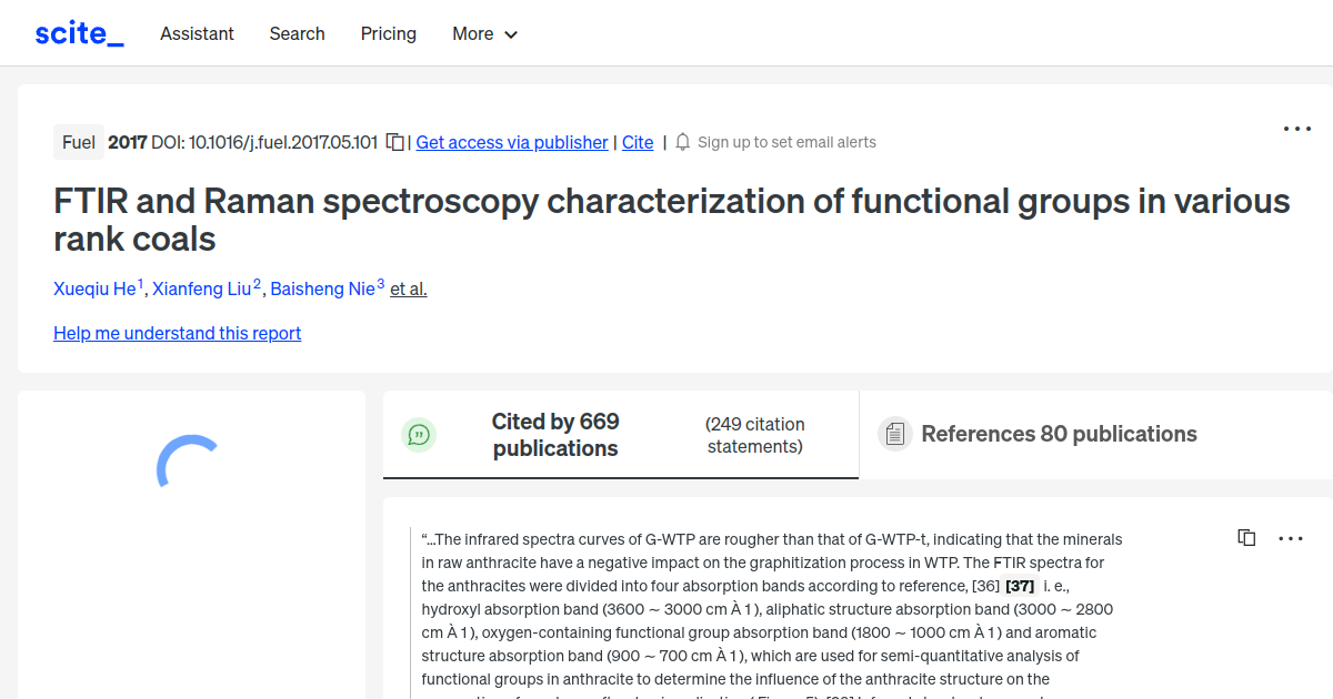 FTIR and Raman spectroscopy characterization of functional groups in ...