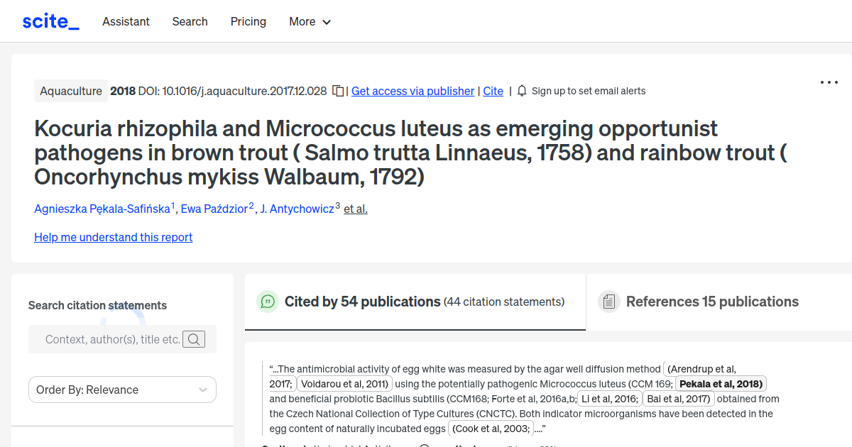 Kocuria rhizophila and Micrococcus luteus as emerging opportunist ...