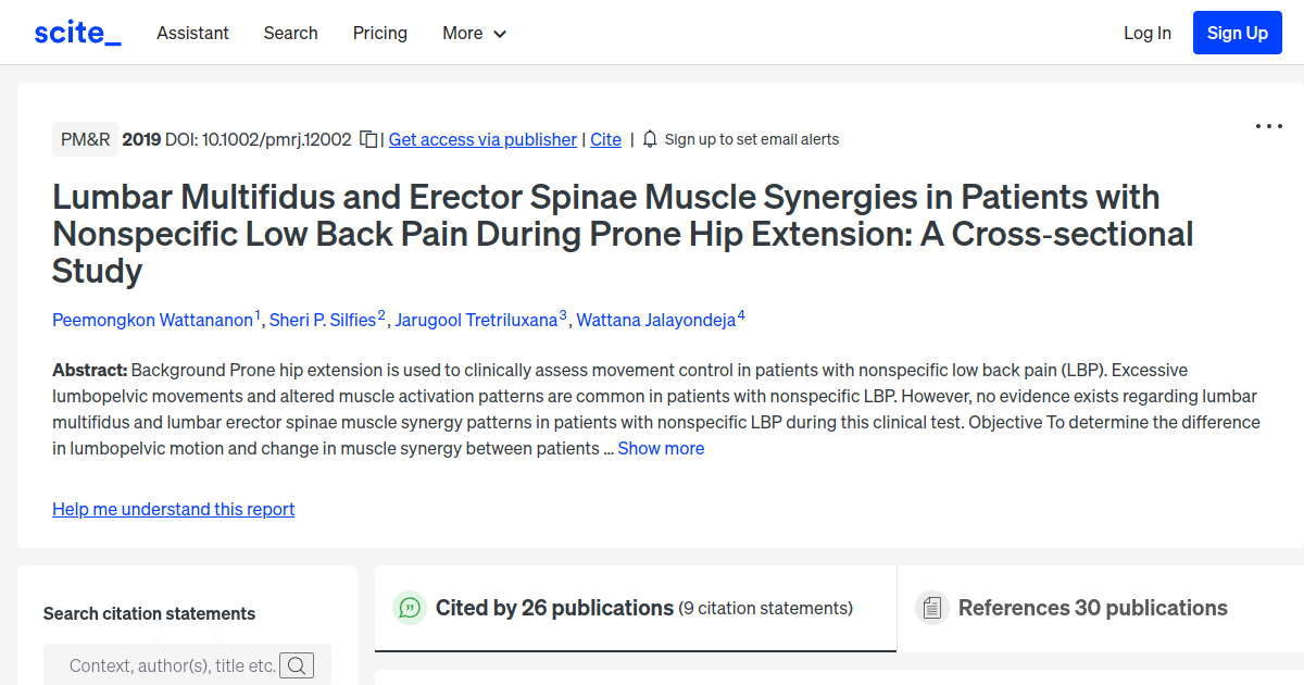 Lumbar Multifidus and Erector Spinae Muscle Synergies in Patients with ...