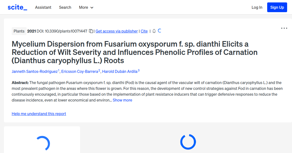 Mycelium Dispersion from Fusarium oxysporum f. sp. dianthi Elicits a ...