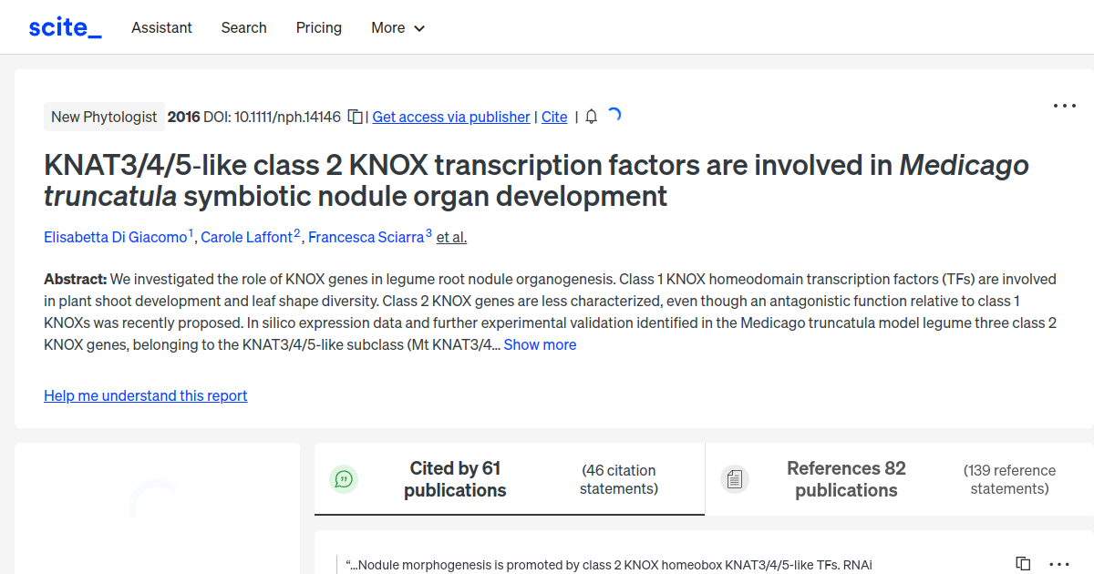 KNAT 3/4/5‐like class 2 KNOX transcription factors are involved in ...