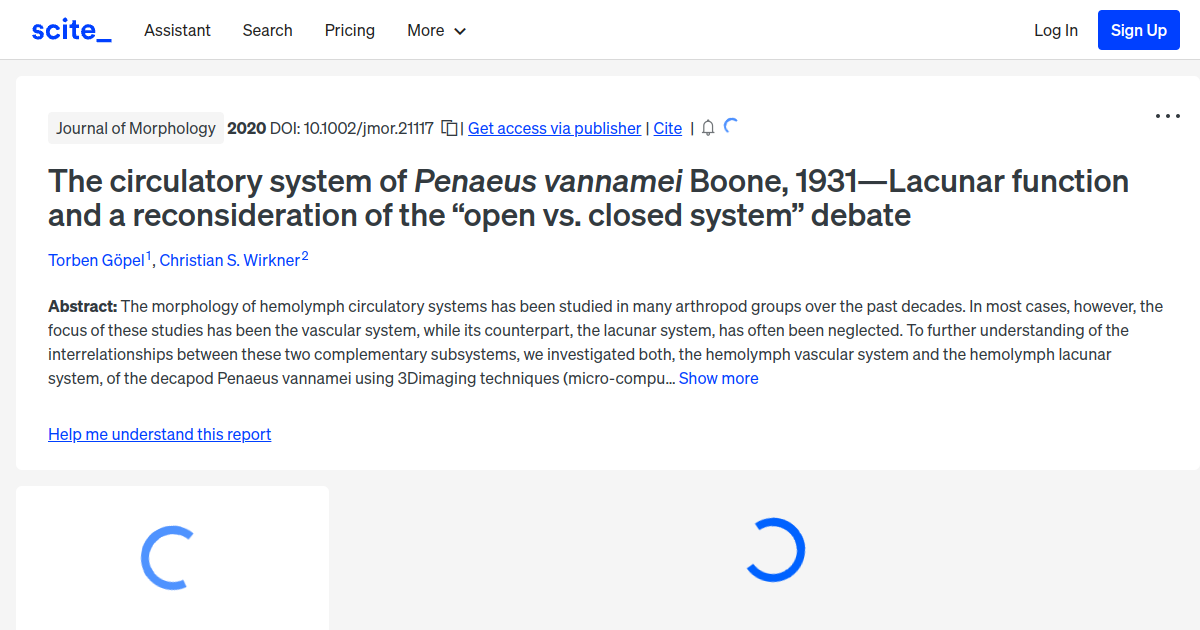 The circulatory system of Penaeus vannamei Boone, 1931—Lacunar function ...
