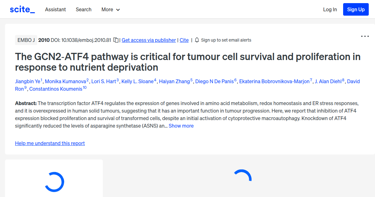 The GCN2-ATF4 pathway is critical for tumour cell survival and ...